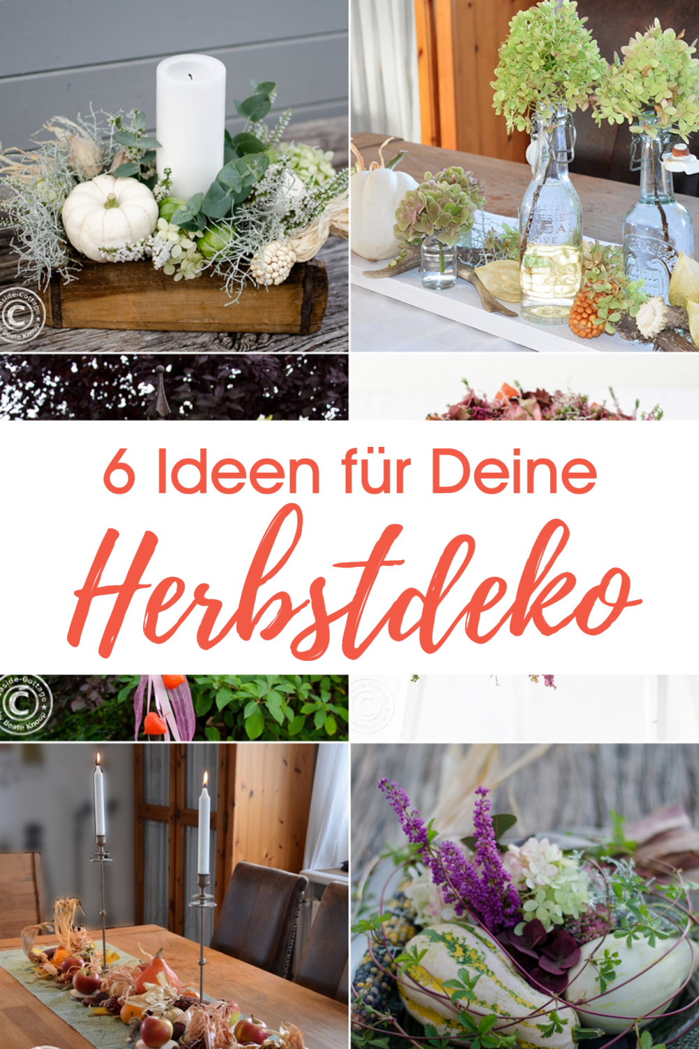 6 Ideen für Deine Herbstdeko - Seaside-Cottage